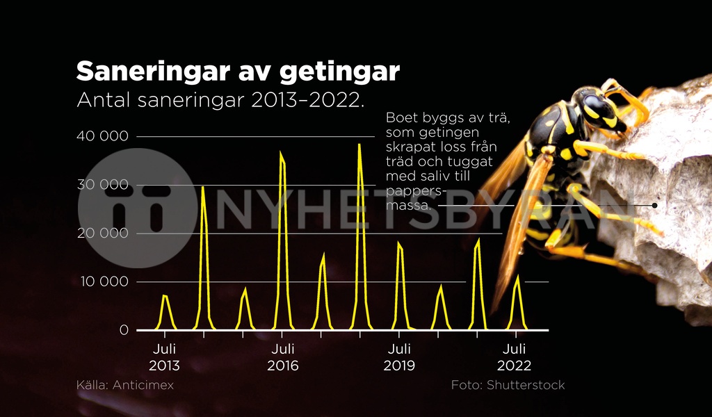 Saneringar av getingar