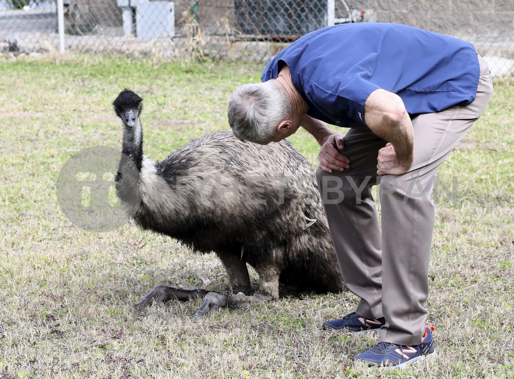 ODD_Texas_Runaway_Emus_26849.jpg-e6265