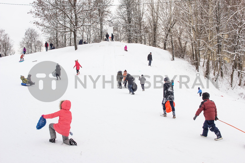 A lot of people children and adults ride a sled in the winter in the ...
