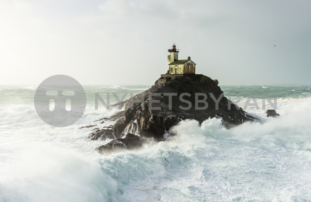 Solent News & Photo Agency