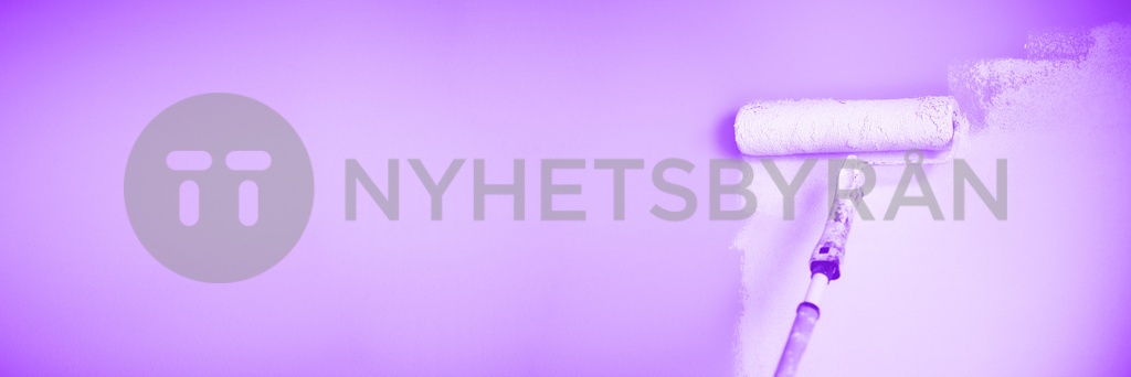 Hand painting wall with paint roller in trendy violet color. Appartment ...