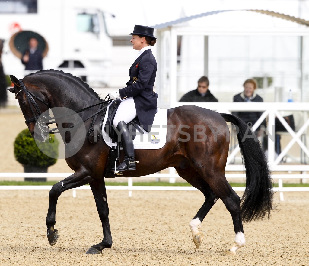 bildnummer 10527538 datum 06 . 05 . 2012 copyright imago rau mannheim ...