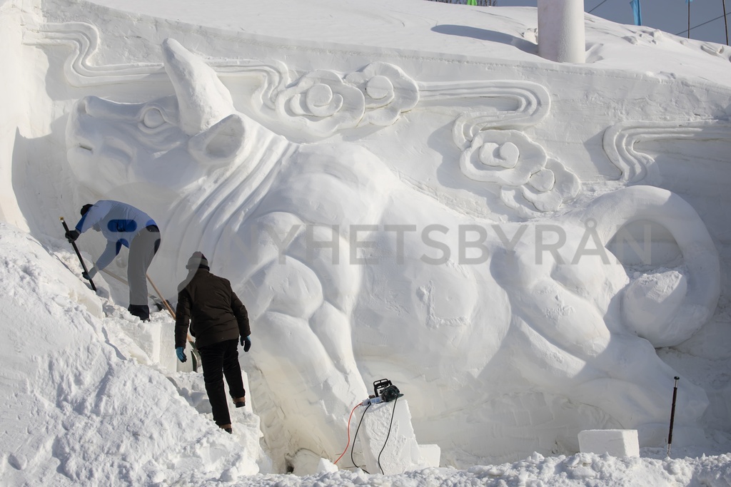 "Bully to the sky"! Two people in Jilin make 7-meter-long snow cows to ...