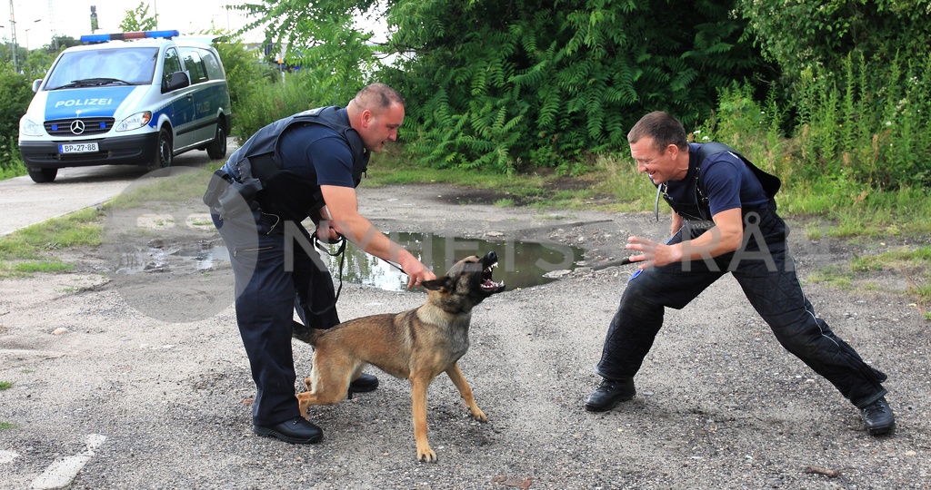 Police dogs of the federal police