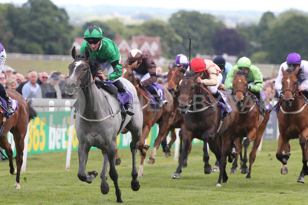 Horse racing Beverley Races SPIRIT OF LADY M (8) ridden by Daniel ...