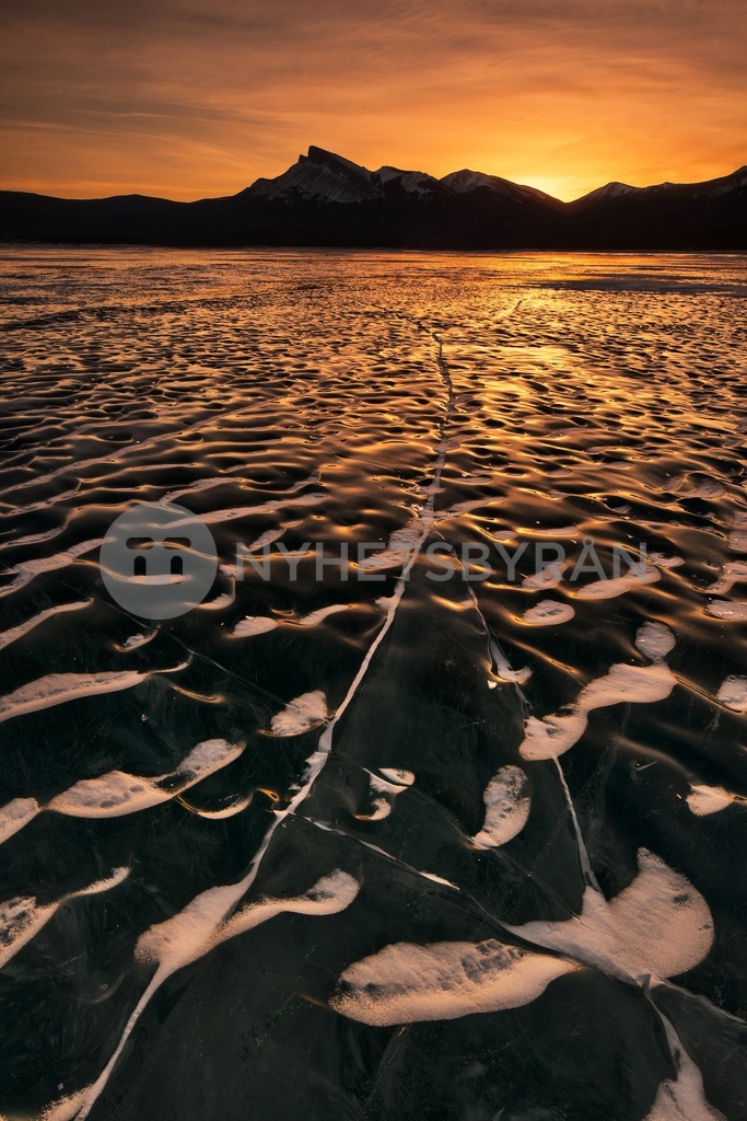 What bubbles beneath Äì Beautiful patterns of frozen bubbles trapped in ...