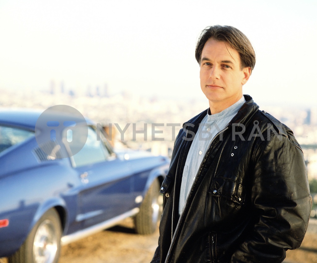 CHARLIE GRACE, Mark Harmon, 1995, (c)Warner Bros. Television/courtesy ...