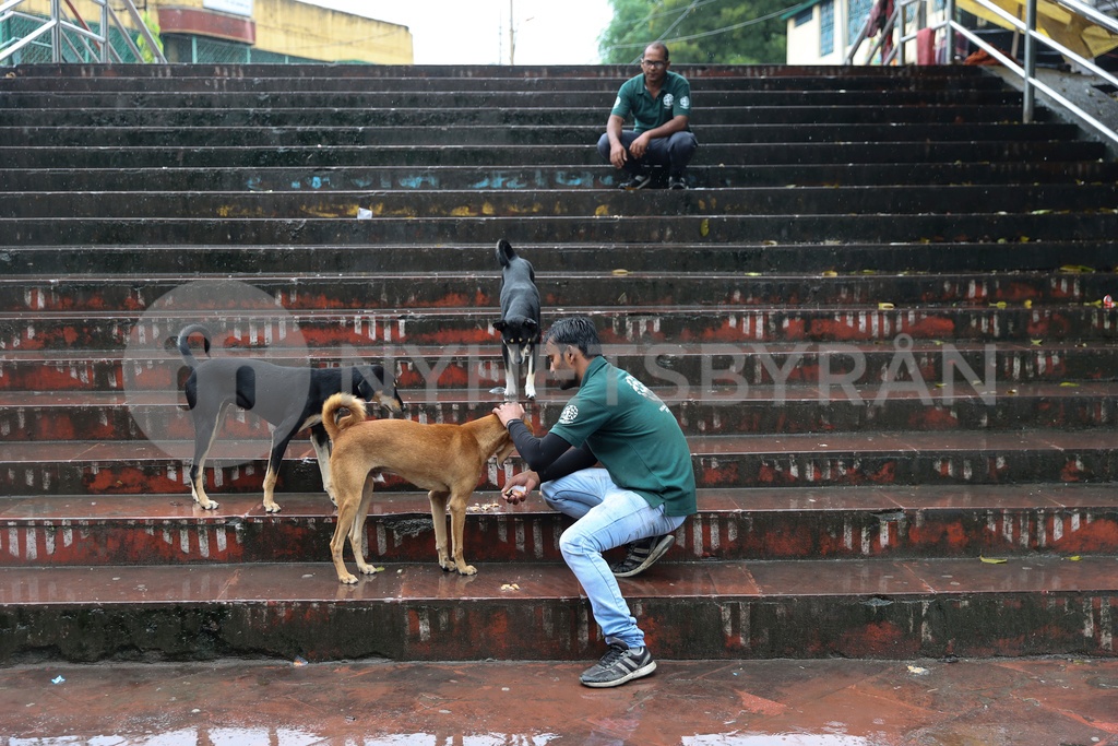 For World Rabies Day, Humane Society International/India vaccinates and ...