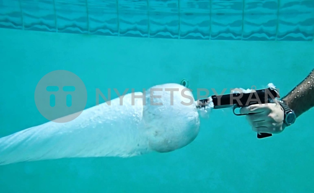 Splish, splash, bang, bang: Stunning photographs reveal beauty of ...