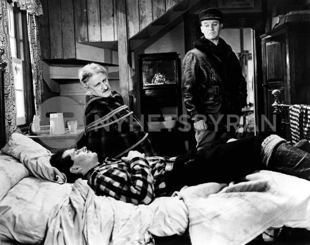 49th Parallel; Forty-Ninth Par film (1941)