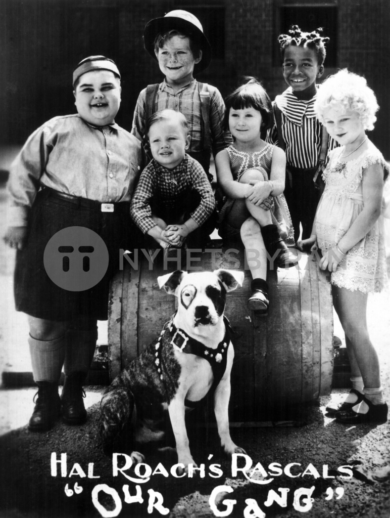 LITTLE RASCALS/OUR GANG COMEDIES, Joe Cobb, Harry Spear, Bobby 'Wheezer ...