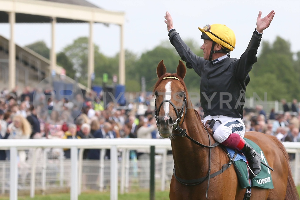 Horse racing York Races Dante Festival FRANKIE DETTORI sat aboard ...