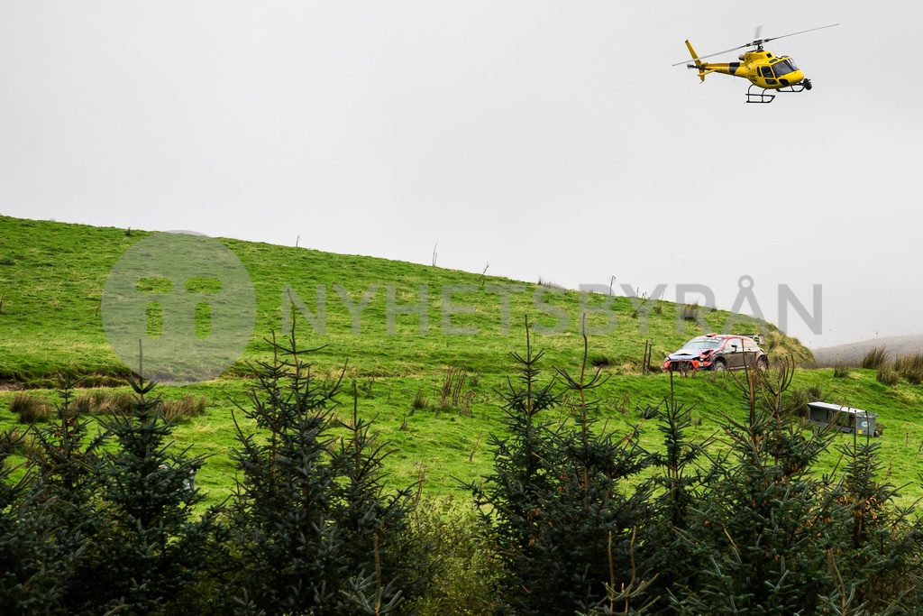5th October 2019; Sweet Lamb Hafren, Powys, Wales; WRC, Motorsport ...