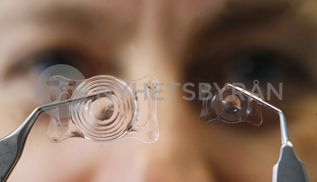 GERMANY-ANIMALS-HEALTH-OFFBEAT-EAST-CONTACT LENSES