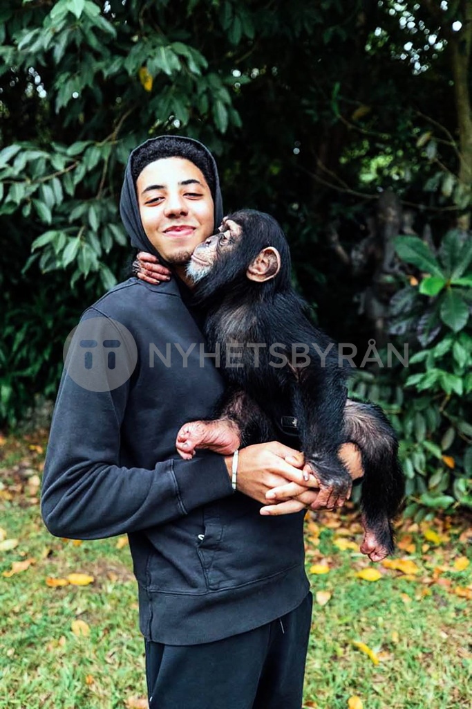 EXCLUSIVE: *NO WEB UNTIL 130PM EST 15TH JAN* Tiger Queen! Larsa