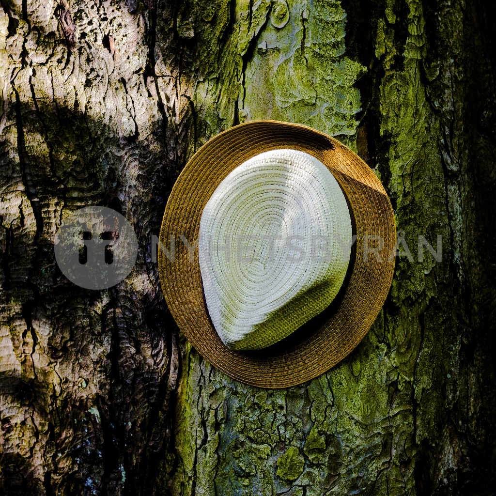Straw trilby hat hanging on tree trunk with sunshine and shadows