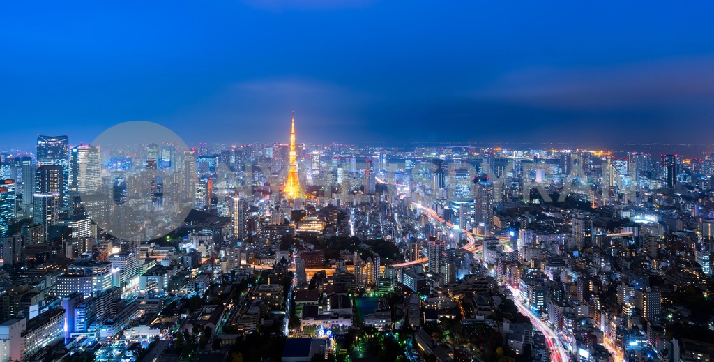 Panorama view over Tokyo tower and Tokyo cityscape view from Rop