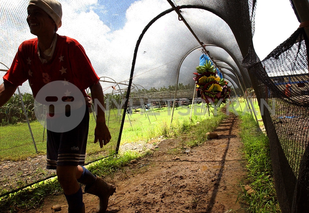 COSTA RICA BANANA SUMMIT