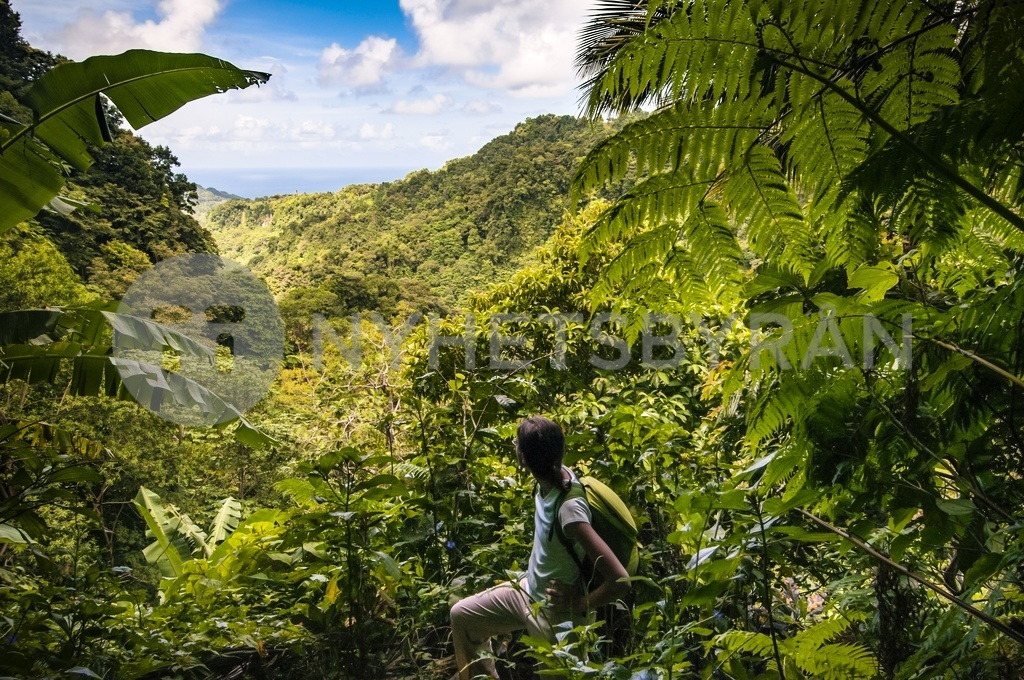 Central america caribbean lesser antilles dominica island hiker ...