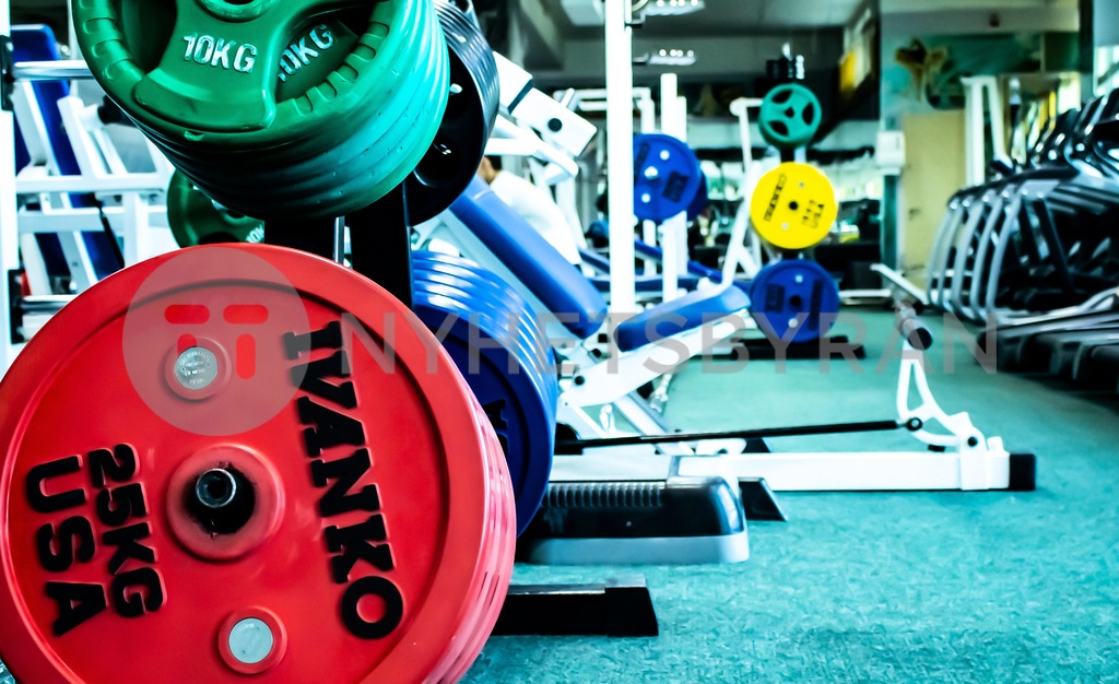 Professional red and green dumbbells and weight plates on the ...
