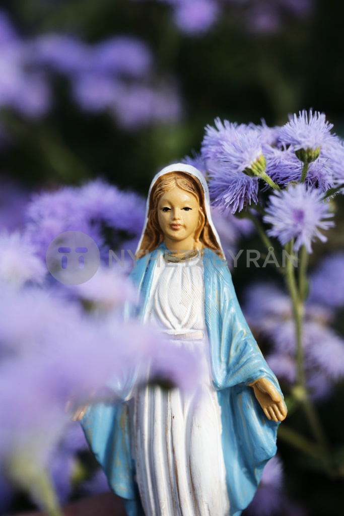 Virgin Mary in a flower