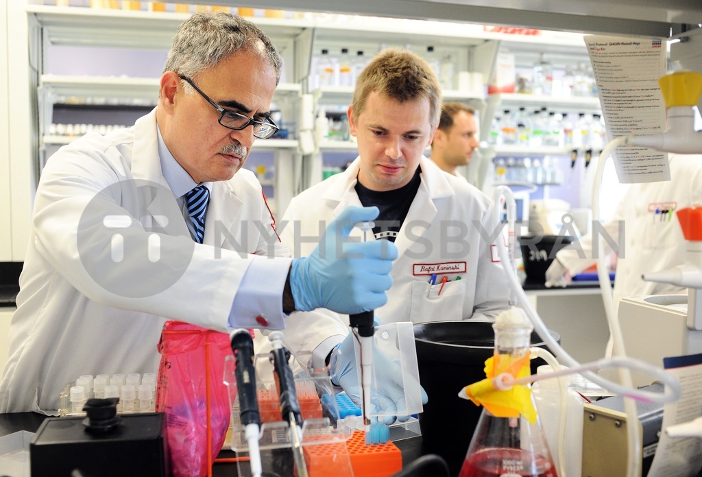 US-RESEARCHERS-IN-GENETIC-SURGERY-AT-TEMPLE-UNIVERSITY-DEVELOP-T