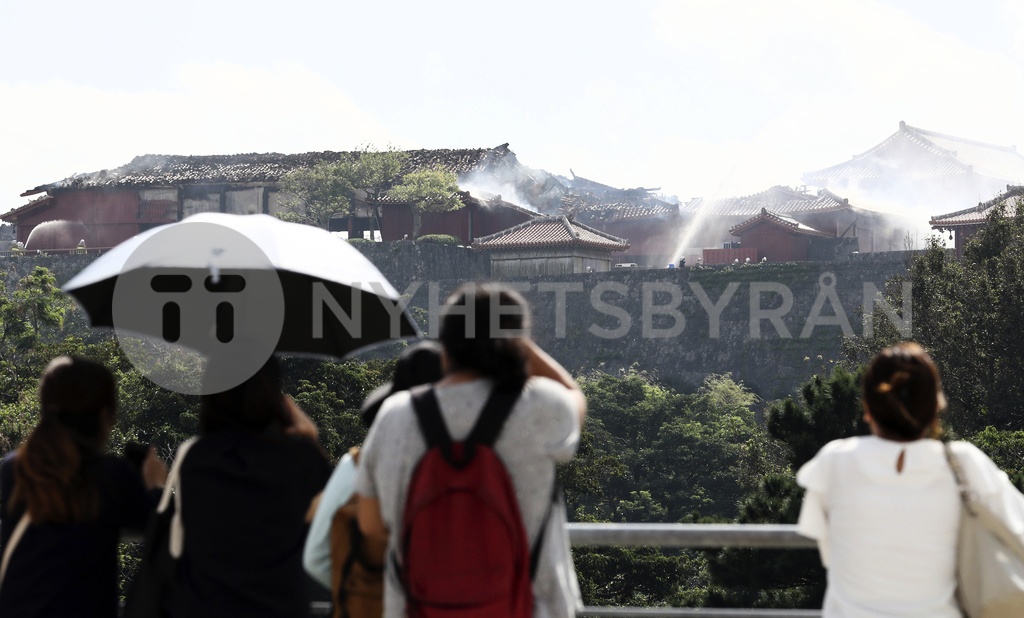 Shurijo_Castle_fire_in_Okinawa_74241.jpg-a9bf6