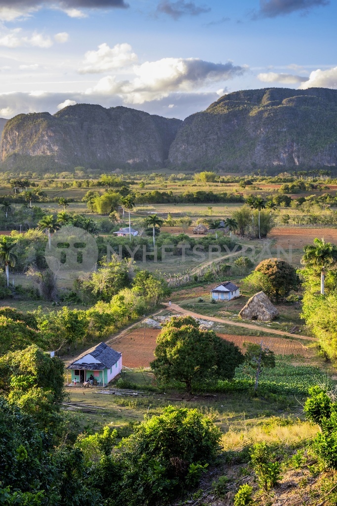 Cuba pinar del rio province vinales vinales national park vinales ...