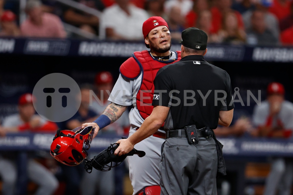Cardinals_Rays_Baseball_04118.jpg-8d1ed