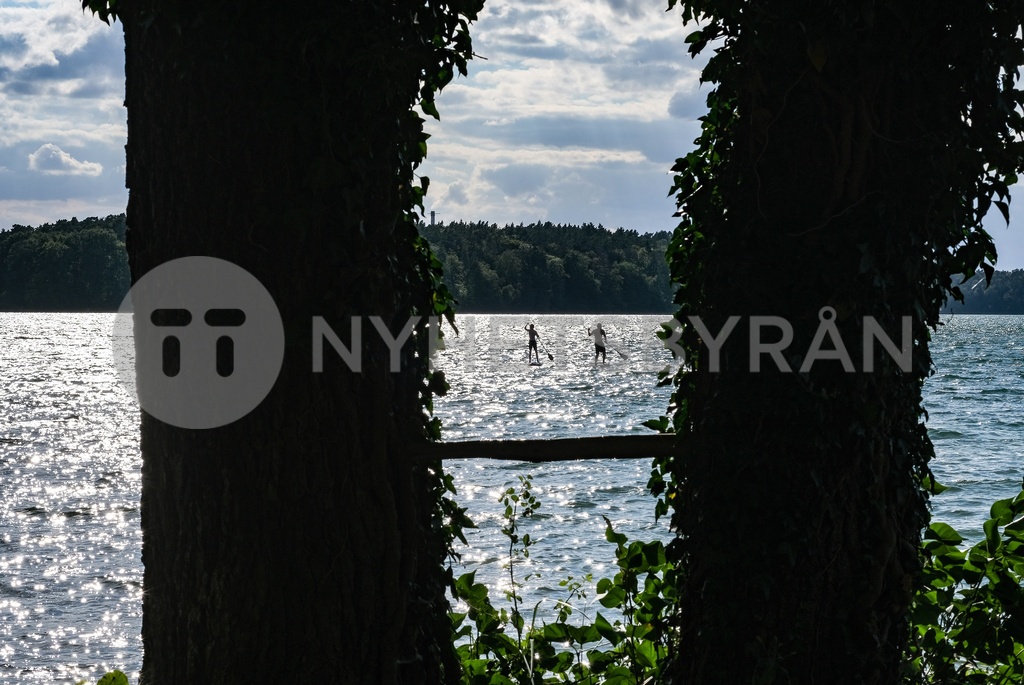 Stechlinsee in the Stechlin-Ruppiner Land Nature Park