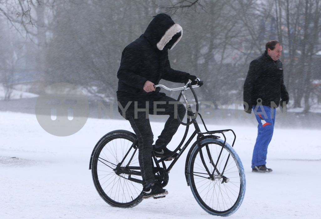 Netherlands - Winter Heavy Snowfall In Amsterdam