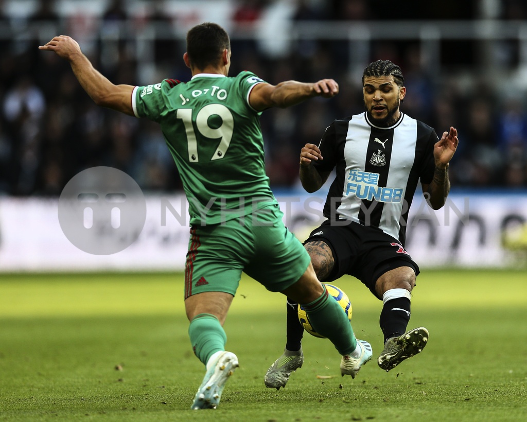 27th October 2019; St James Park, Newcastle, Tyne and Wear, England ...