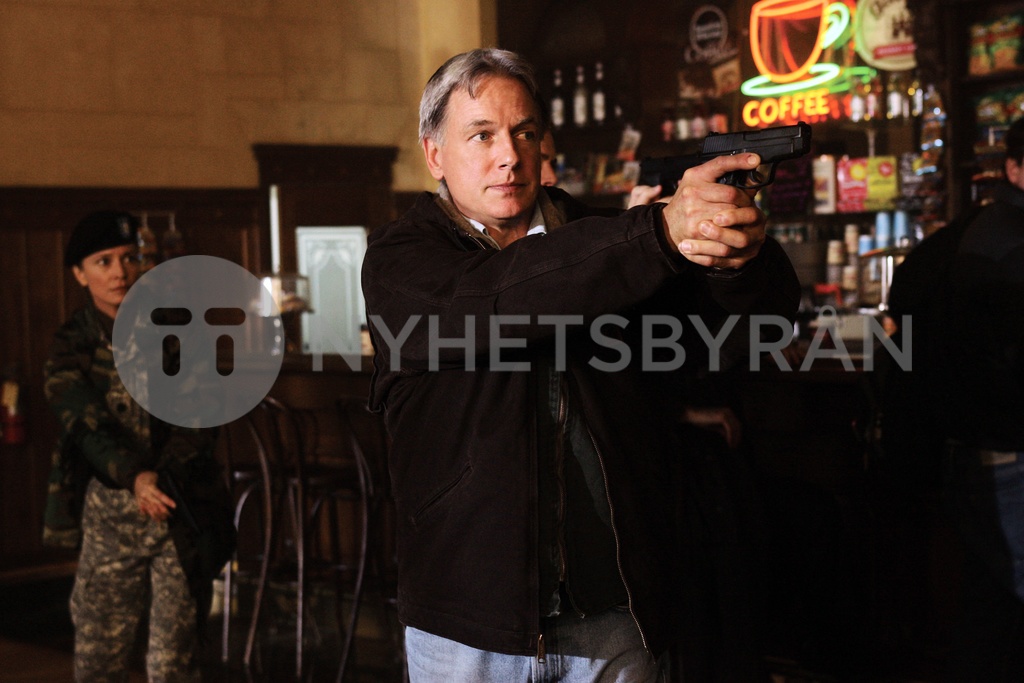 NAVY NCIS : NAVAL CRIMINAL INVESTIGATIVE SERVICE